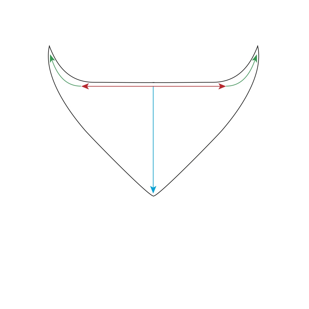 Holly Chayes » Triangle Winged